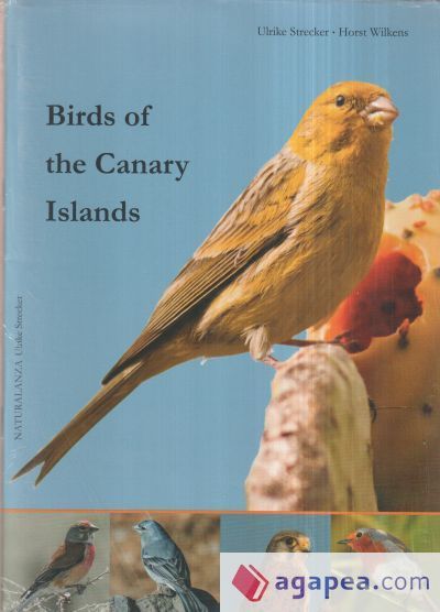 BIRDS OF THE CANARY ISLANDS - WILKENS, HORST Y STRECKER, ULRIKE ...