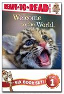 ZOOBORNS READY-TO-READ VALUE PACK: WELCOME TO THE WORLD, ZOOBORNS!; I LOVE YOU, ZOOBORNS!; HELLO ...