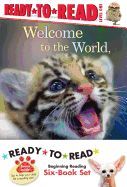 ZOOBORNS READY-TO-READ VALUE PACK: WELCOME TO THE WORLD, ZOOBORNS!; NIGHTY NIGHT, ZOOBORNS ...