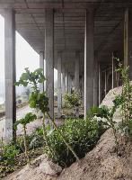 NOTES FROM THE UNDERDOG: AGRICULTURE FOR SUBSISTENCE IN PORTO ...