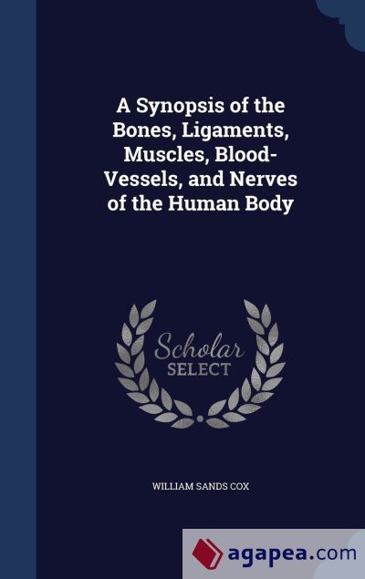 A SYNOPSIS OF THE BONES, LIGAMENTS, MUSCLES, BLOOD-VESSELS, AND NERVES ...