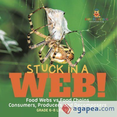 STUCK IN A WEB! FOOD WEBS VS FOOD CHAINS | CONSUMERS, PRODUCERS AND ...