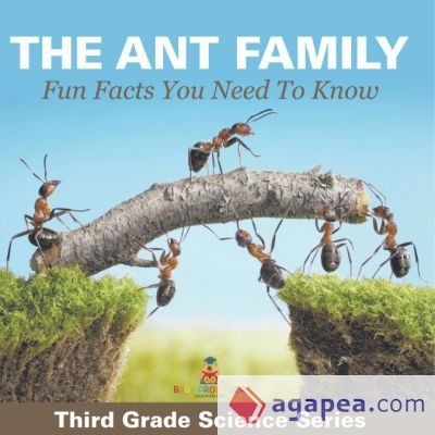 THE ANT FAMILY - FUN FACTS YOU NEED TO KNOW - BABY PROFESSOR ...