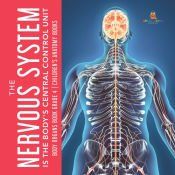 THE NERVOUS SYSTEM IS THE BODYA S CENTRAL CONTROL UNIT | BODY ORGANS ...