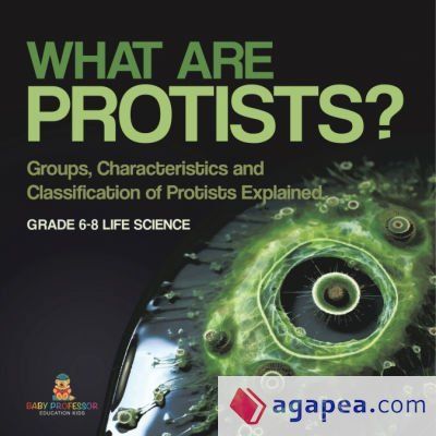 WHAT ARE PROTISTS? GROUPS, CHARACTERISTICS AND CLASSIFICATION OF ...