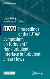 PROCEEDINGS OF THE IUTAM SYMPOSIUM ON TURBULENT/NON-TURBULENT INTERFACE IN TURBULENT SHEAR FLOWS ...