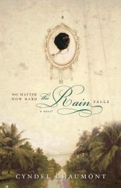 NO MATTER HOW HARD THE RAIN FALLS - CYNDEL CHAUMONT - 9781598868449