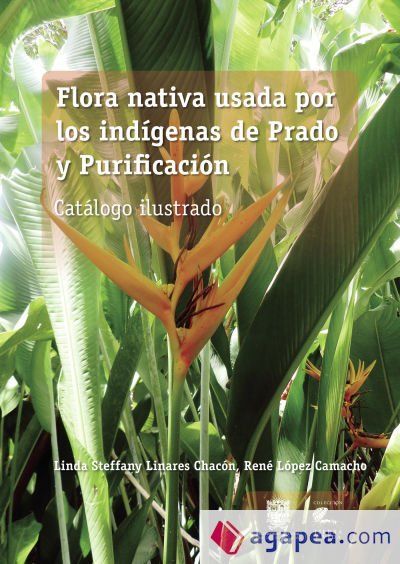 FLORA NATIVA USADA POR LOS INDIGENAS DE PRADO Y PURIFICACION - LINDA ...
