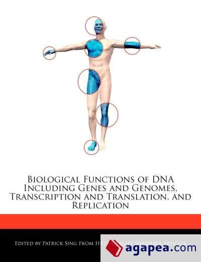 BIOLOGICAL FUNCTIONS OF DNA INCLUDING GENES AND GENOMES, TRANSCRIPTION ...