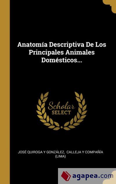 ANATOMIA DESCRIPTIVA DE LOS PRINCIPALES ANIMALES DOMESTICOS - JOSE ...