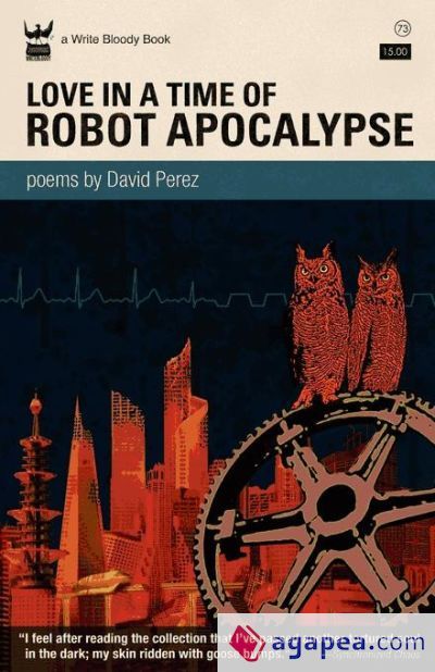 LOVE IN A TIME OF ROBOT APOCALYPSE - DAVID PEREZ - 9781935904243